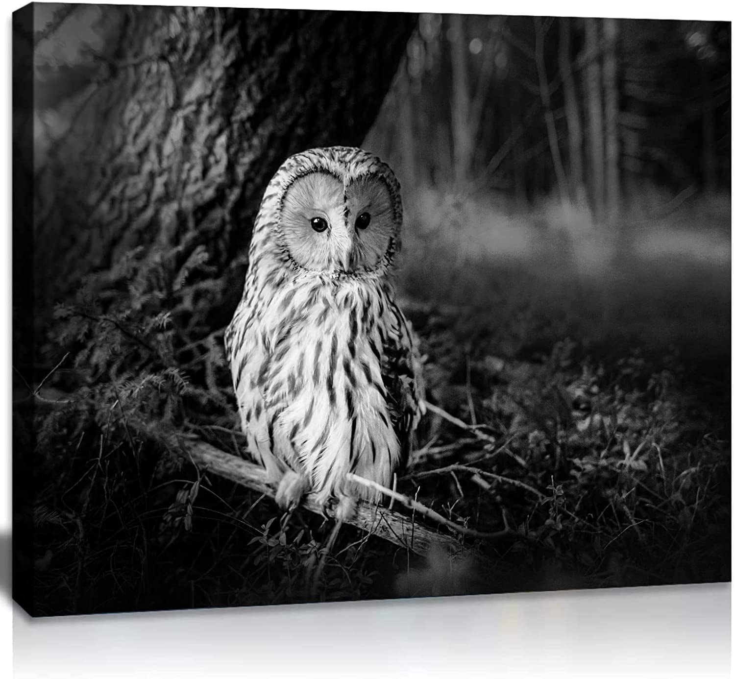AXXPosters-Black and White Owl Canvas Wall Decor Bird Artwork, Wild ...