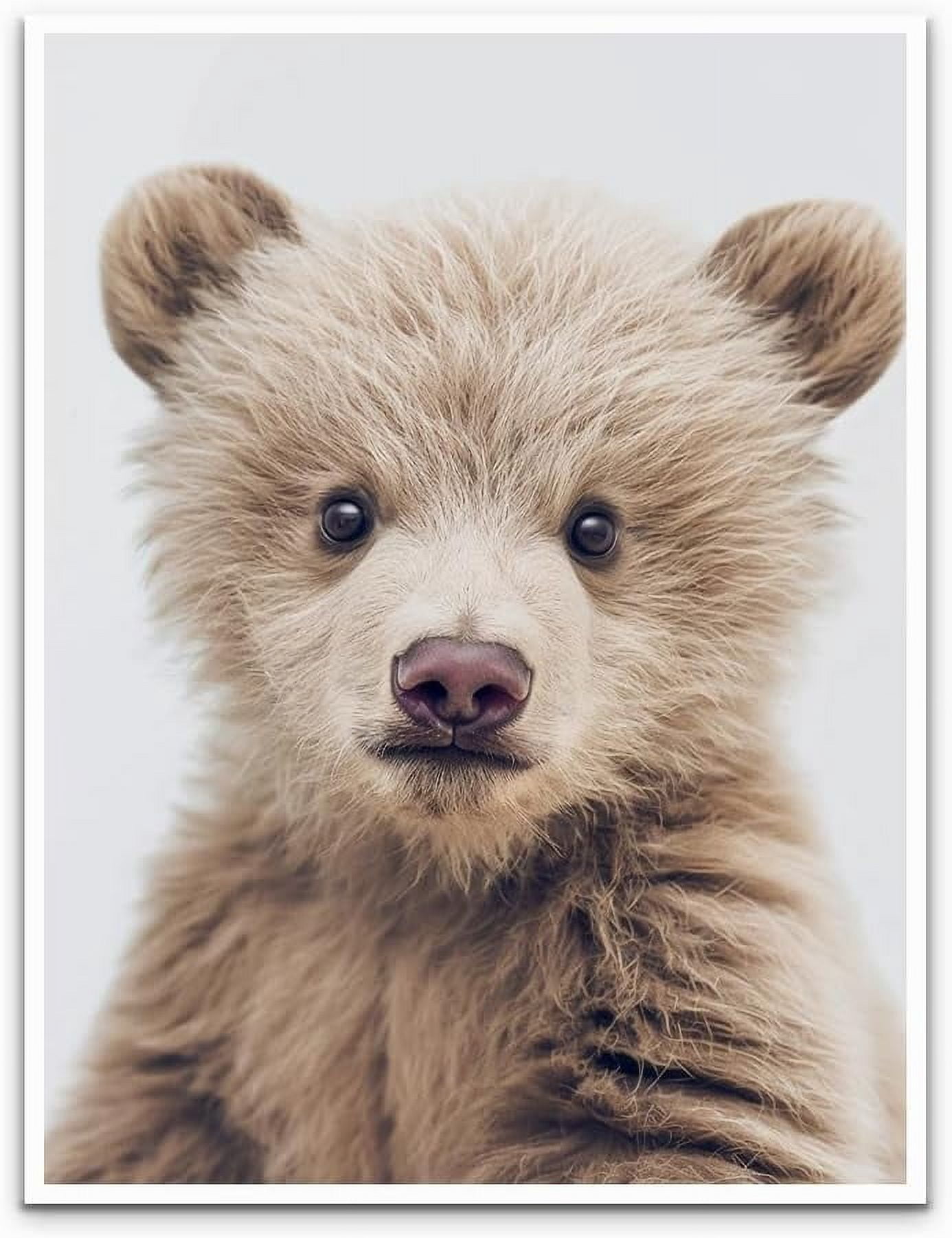 AXXPosters Brown Bear Canvas Prints Wall Art Paintings Home Decor ...