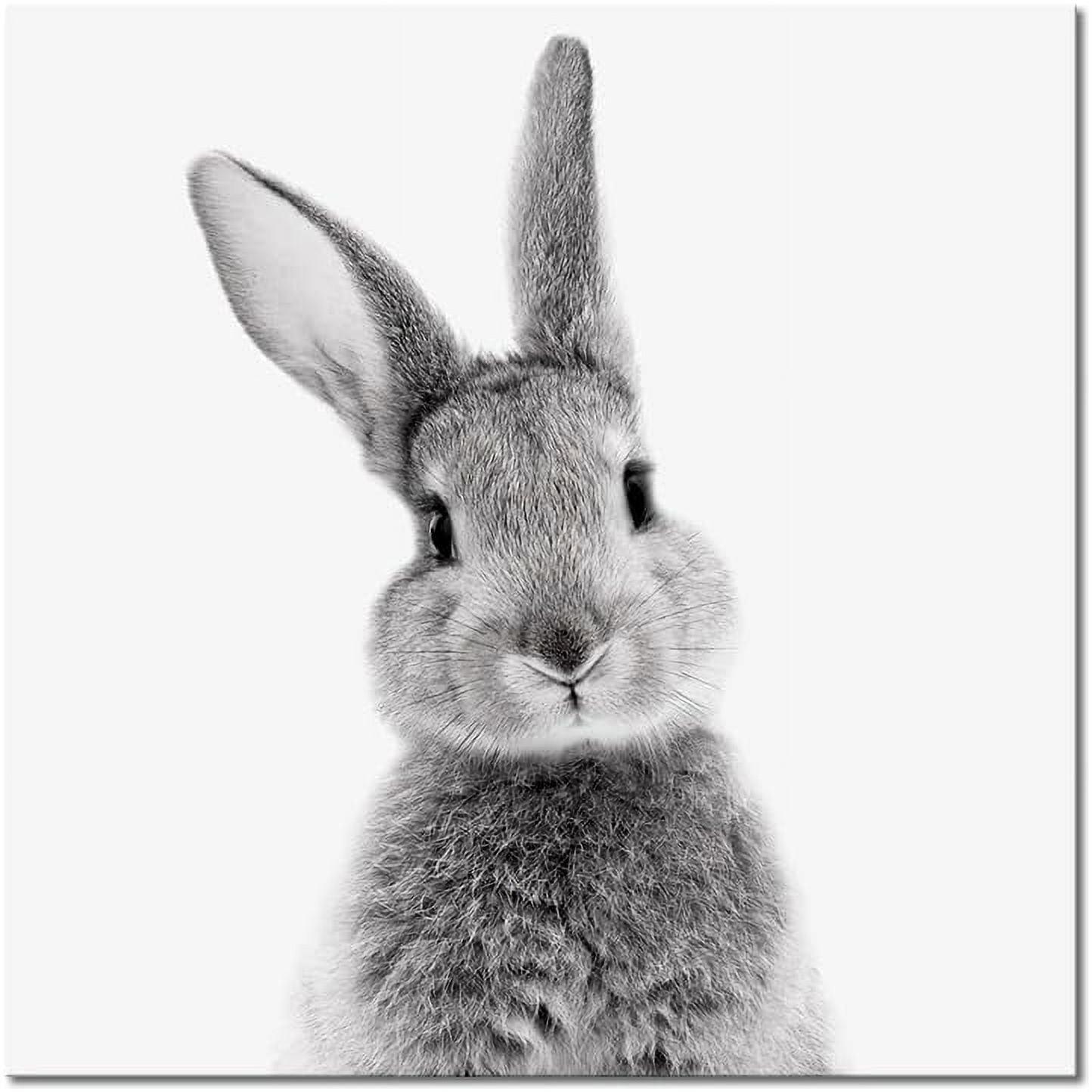 AXXPosters Bunny Canvas Wall Art Bunny Pictures Wall Decor Lovely ...