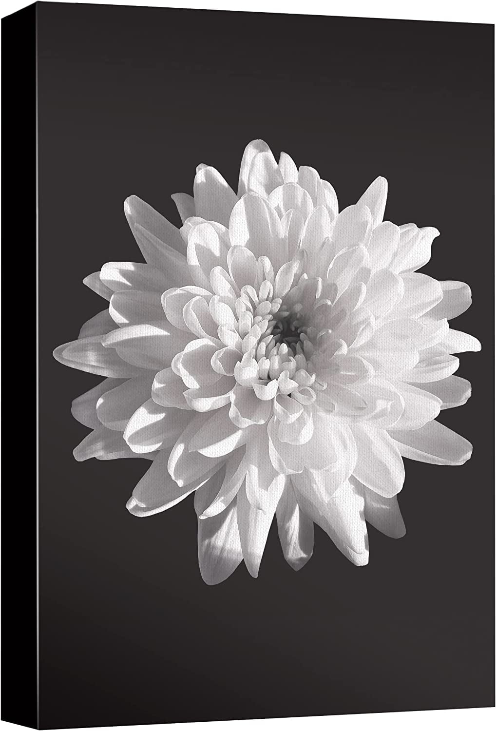 AXXPosters-Canvas Print Wall Art Detailed Blooming Chrysanthemum Floral ...