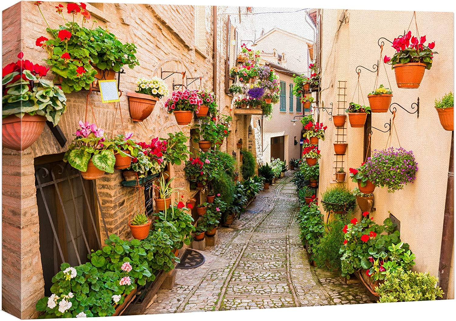 AXXPosters- Canvas Print Wall Art Floral Botanical Garden Italian Alley ...