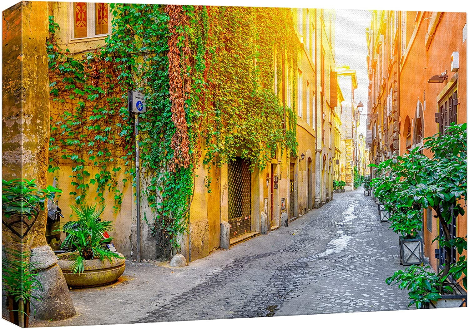 AXXPosters- Canvas Print Wall Art Floral Botanical Garden Italian ...