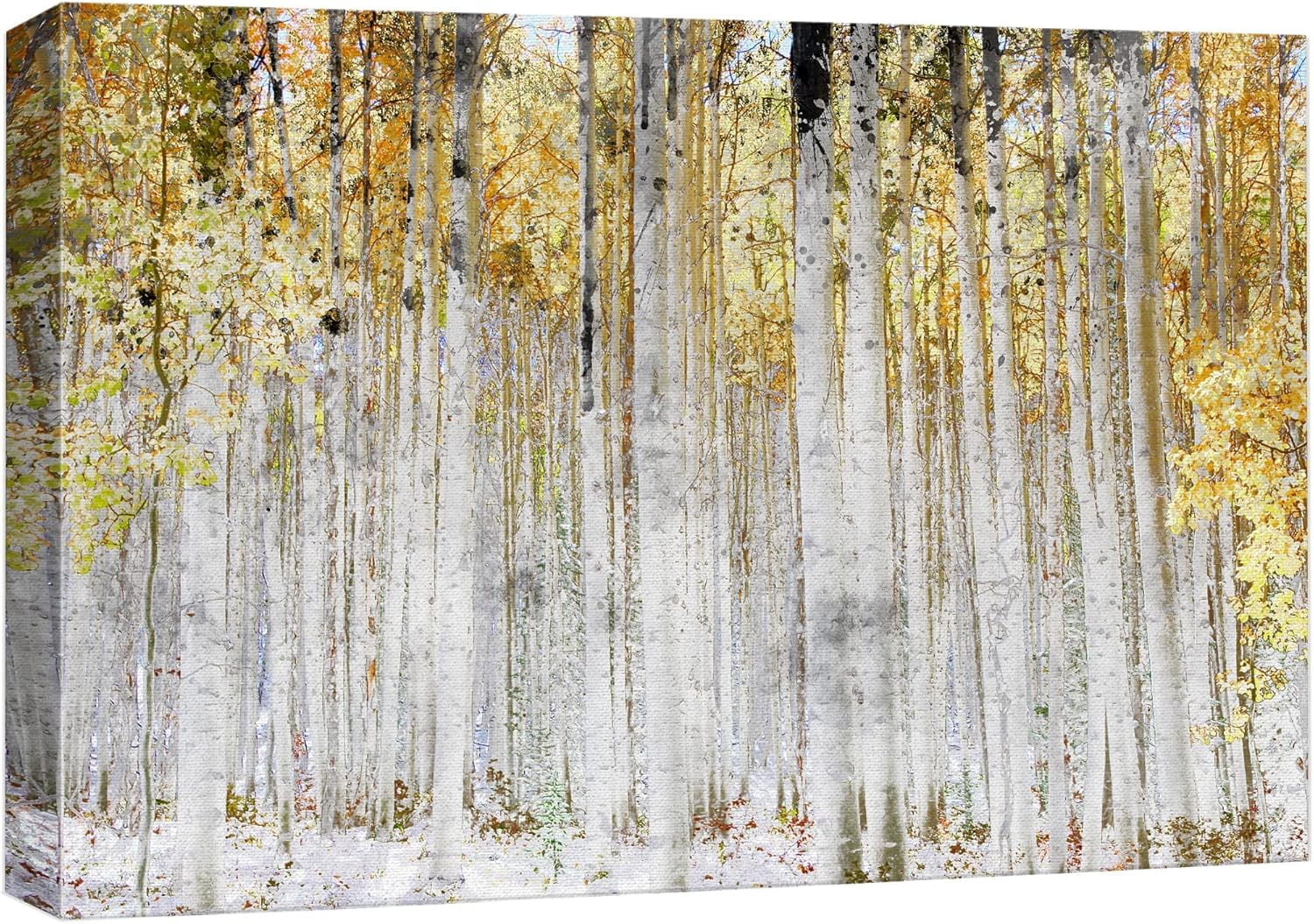 AXXPosters-Canvas Print Wall Art White Birch Tree Forest with Yellow ...