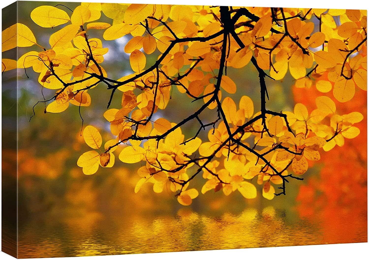 AXXPosters- Canvas Print Wall Art Yellow Leaves in The Forest with ...