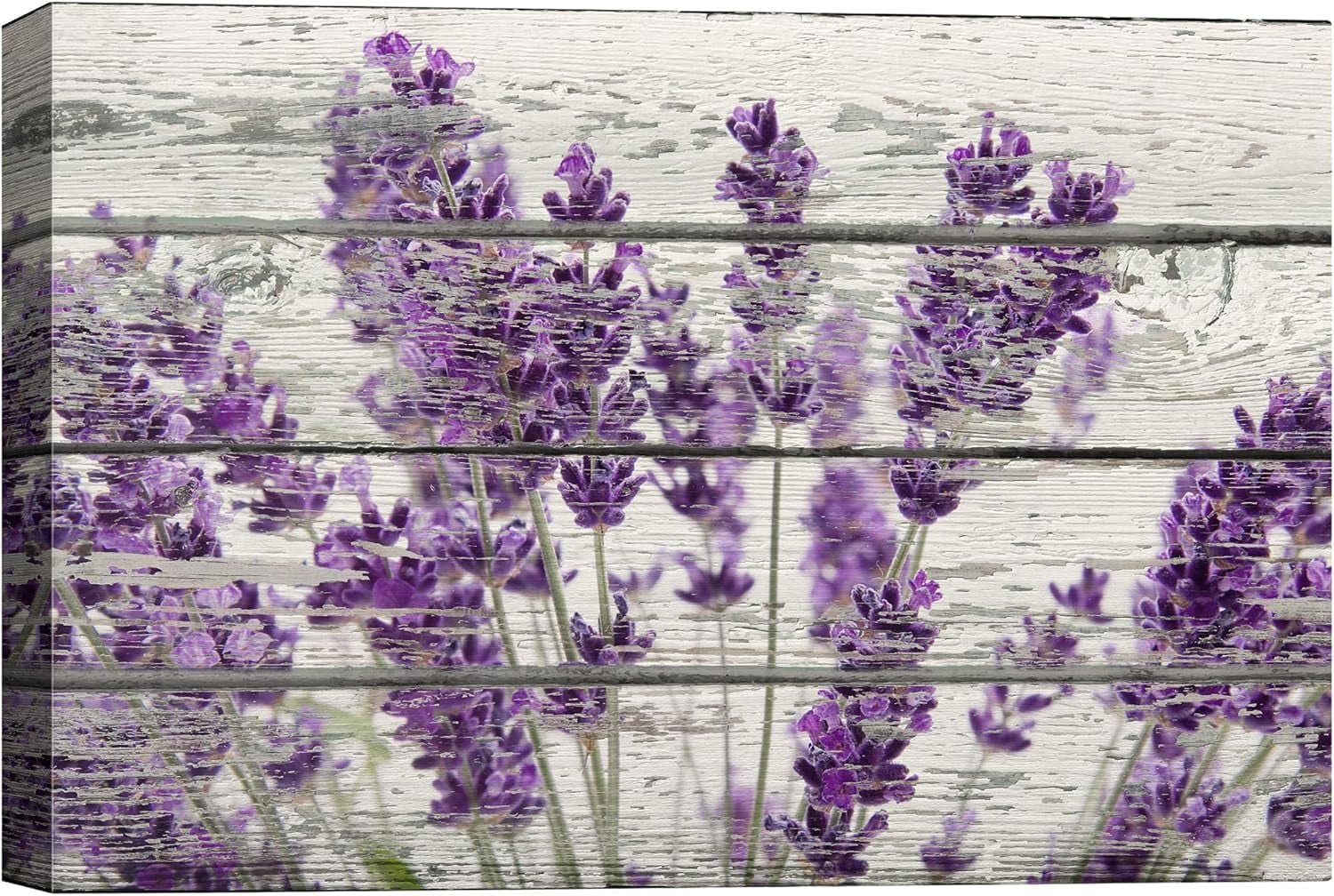 AXXPosters-Canvas Wall Art Romantic Purple Lavender - Poster Giclee ...