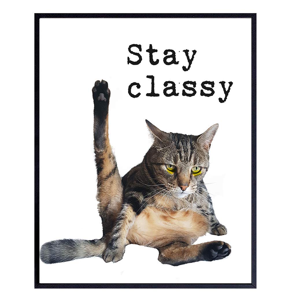 AXXPosters Cat Wall Art Decor - 8x10 Poster Photo Print for Bathroom ...