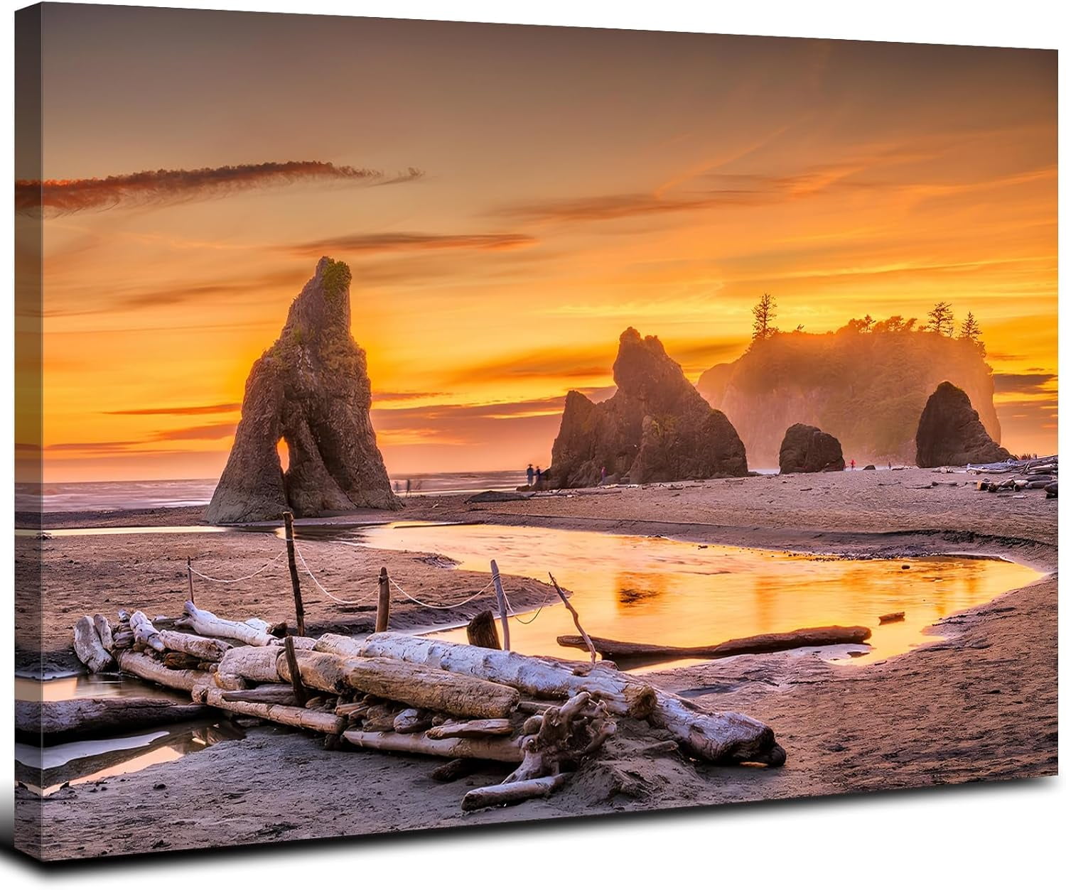 AXXPosters-Coastal Wall Art Nautical Beach Wall Decor for Beach Surf ...