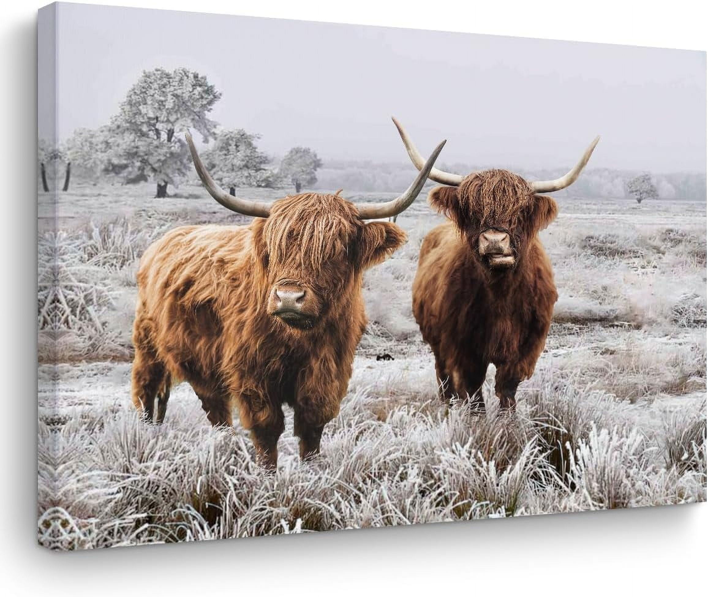 AXXPosters-Cow Wall Art Art Western Wall Decor Funny Cows with Bandanas ...