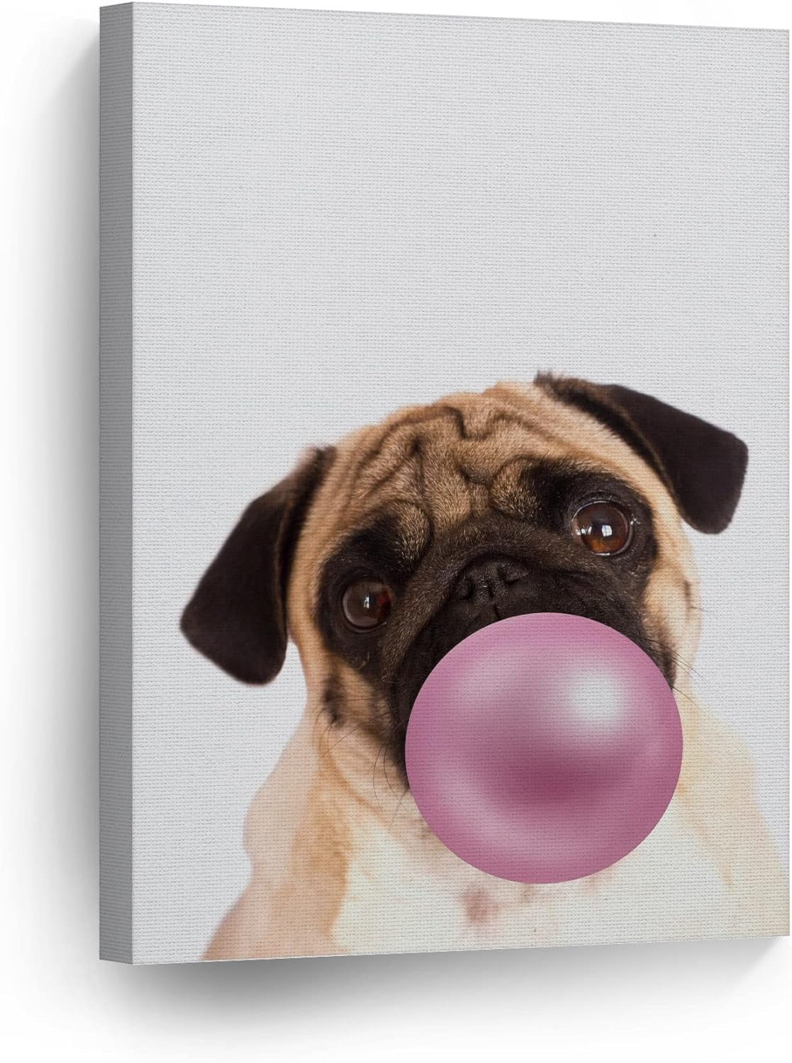 AXXPosters Cute Puppy Pug Dog Animal Bubble Gum Art Pink Canvas Print ...