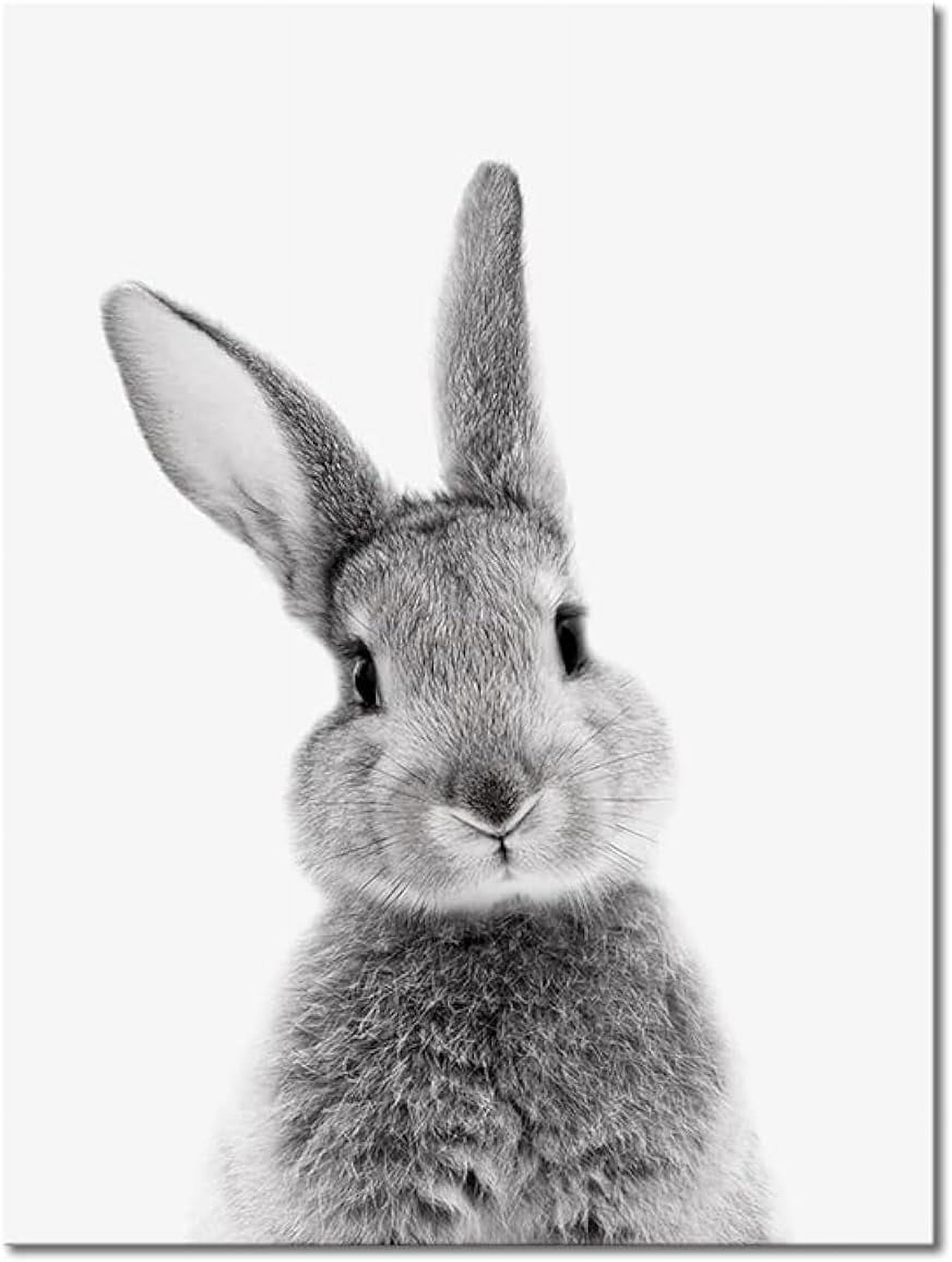 AXXPosters DakTenn Rabbit Wall Art Bunny Wall Art Bunny Decor Lovely ...