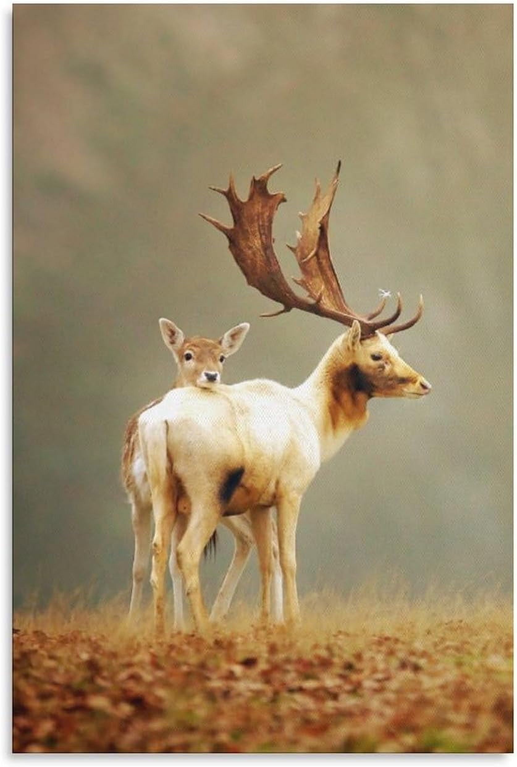 AXXPosters Deer Baby Wild Animal Autumn Fallen Leaves Canvas Poster ...