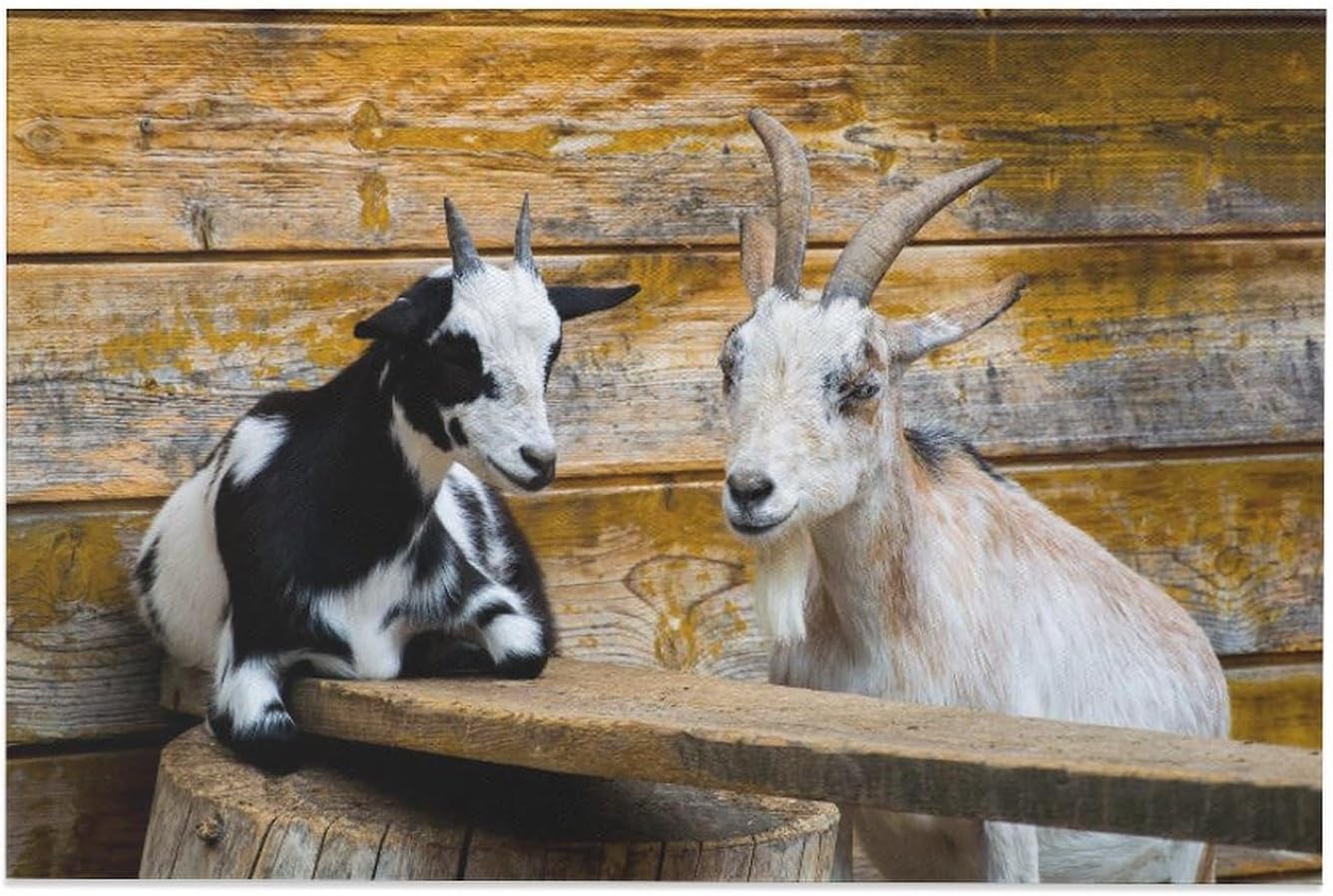 AXXPosters Farmhouse Sheep Farm Animal Farmhouse Goat And Cute Goat ...