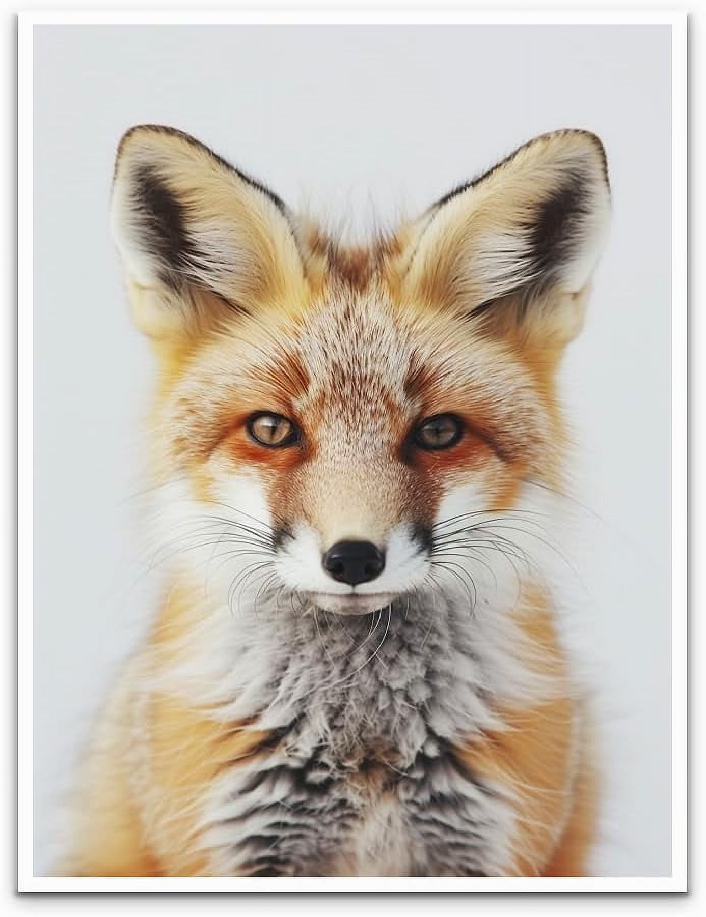 AXXPosters Fox Posters wall Fox Art Print Boho Wall Decor Woodland ...
