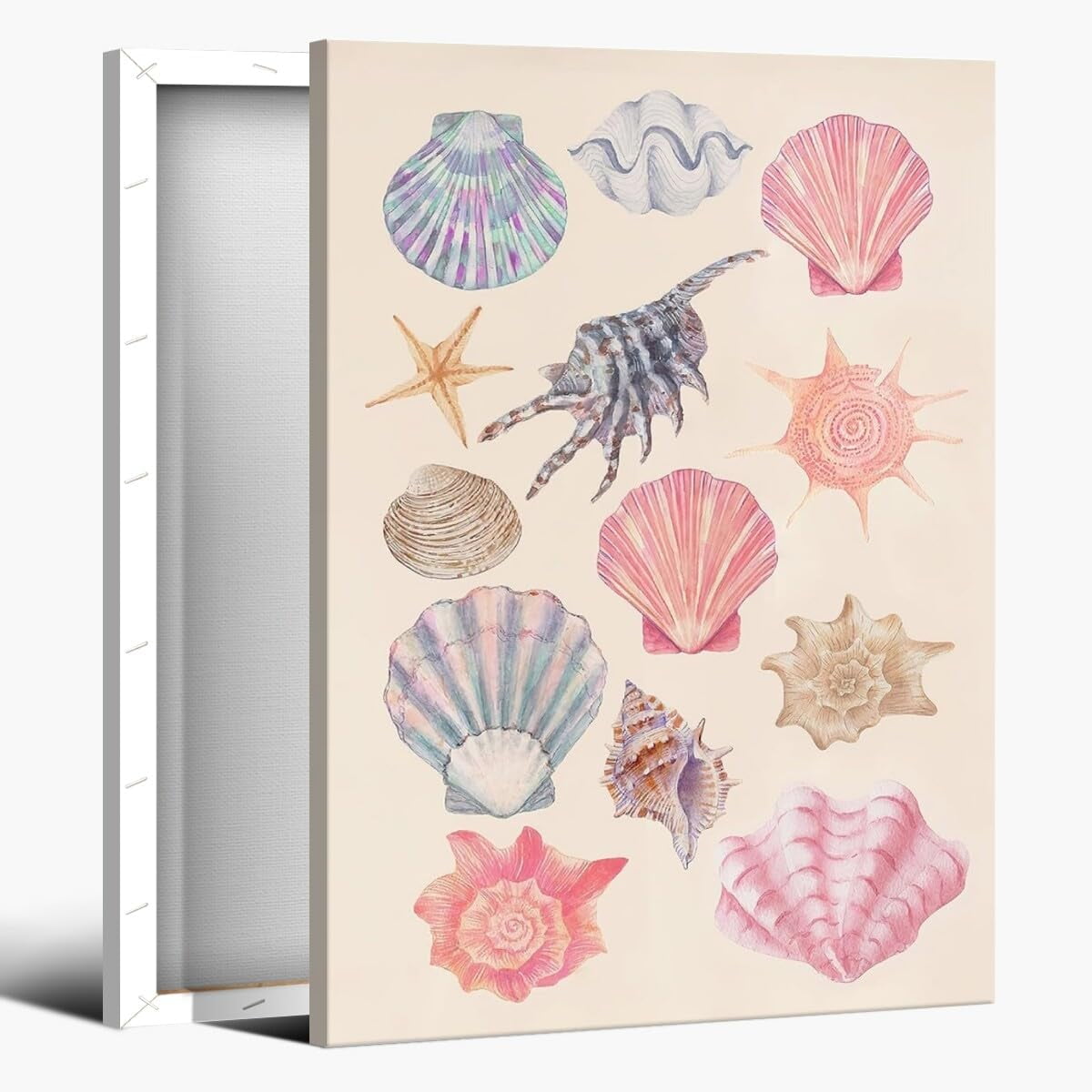AXXPosters Groovy Watercolor Shell Canvas Prints Posters，Trendy Pink ...