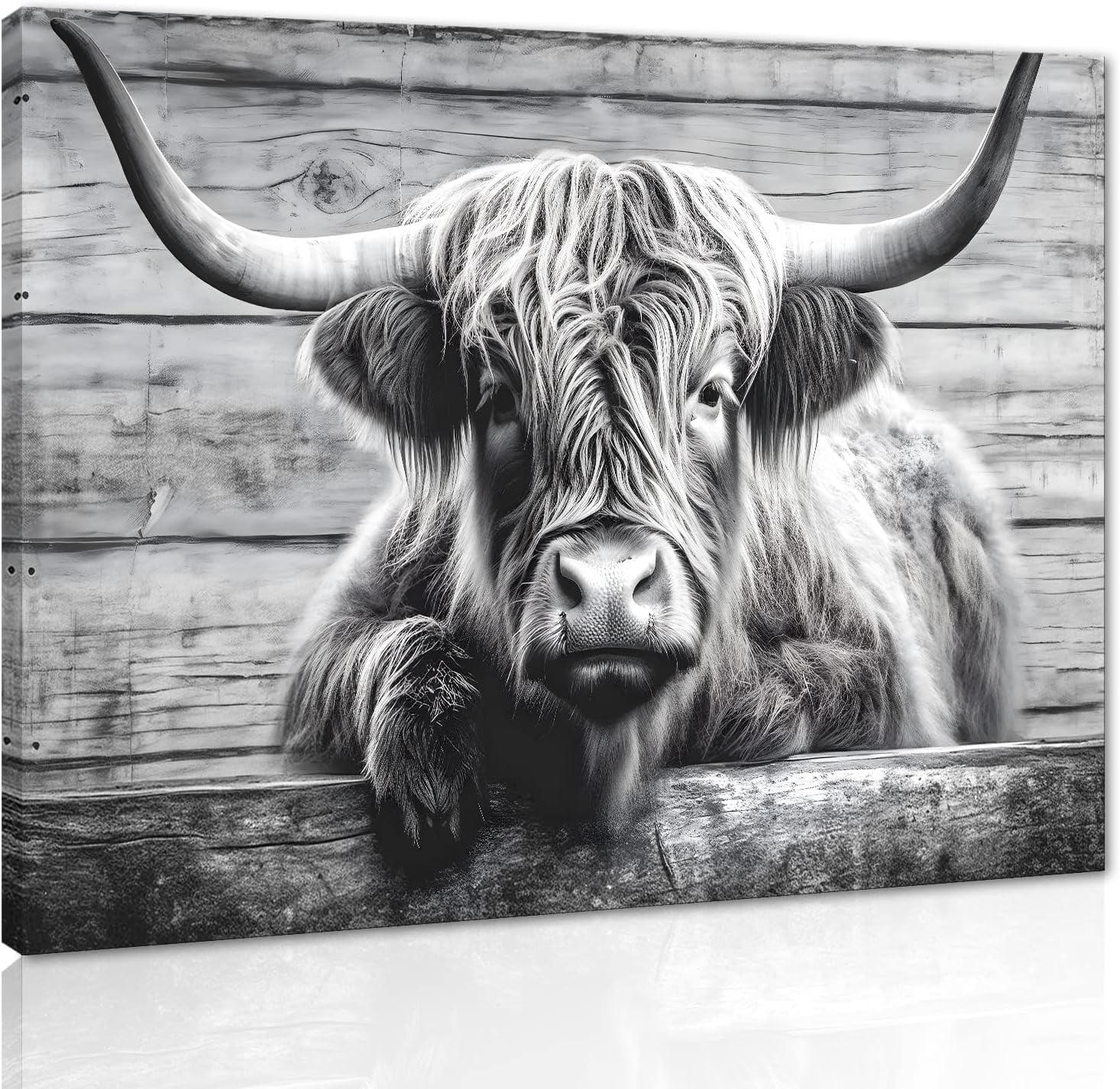 AXXPosters-Highland Cow Canvas Wall Art Black and White Pasture Hairy ...