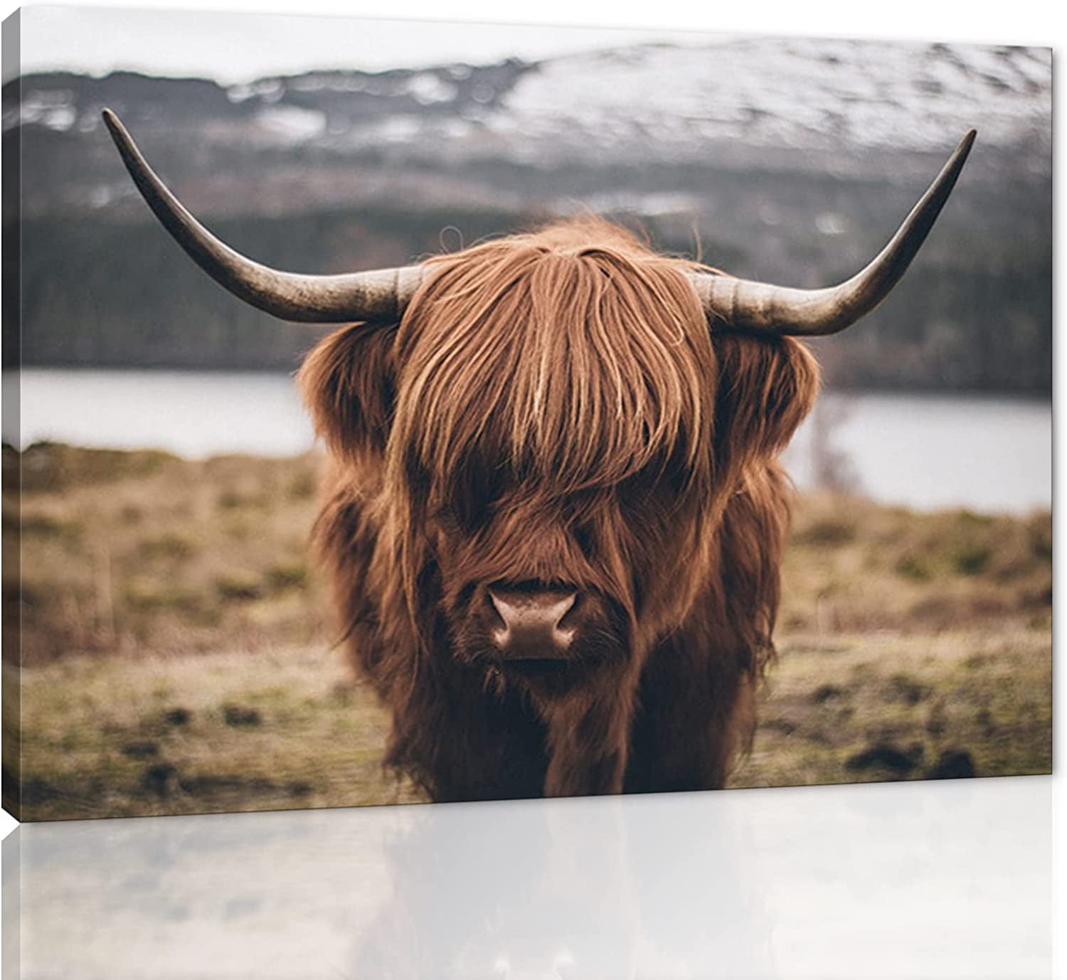AXXPosters-Highland Cow Decor Cute Animal Vintage Picture Modern Canvas ...
