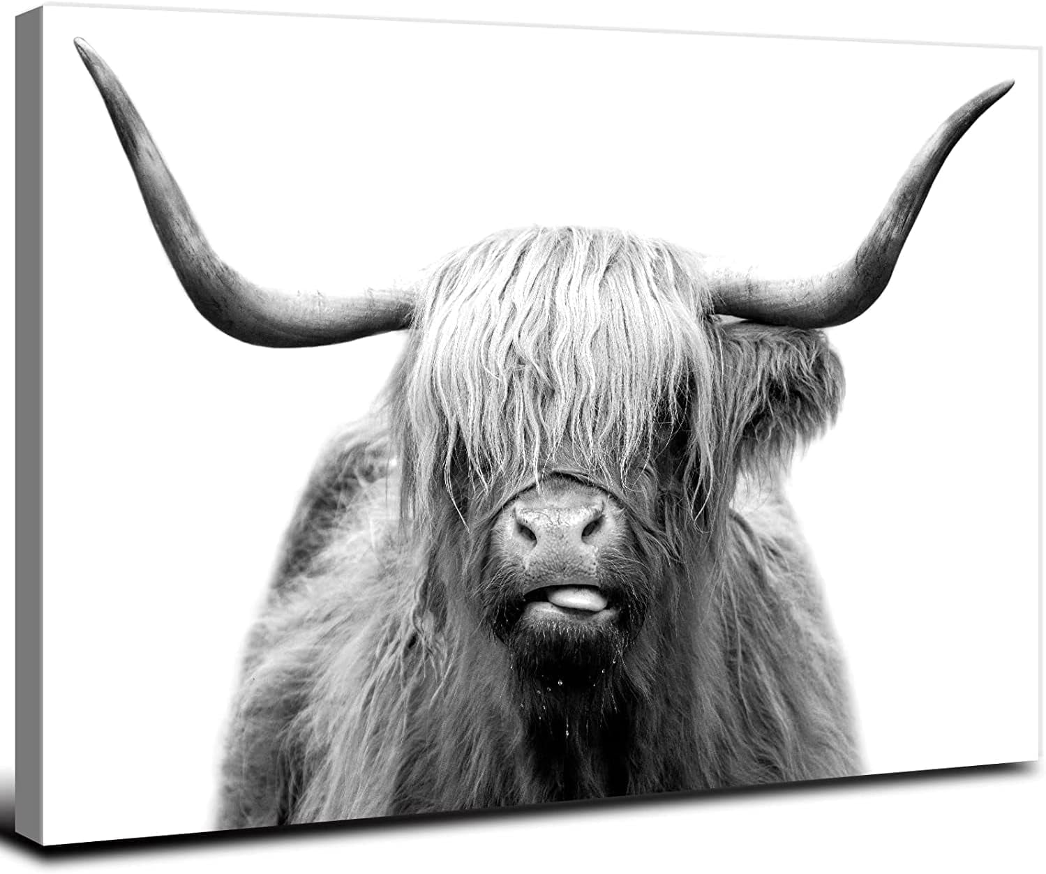 AXXPosters-Highland Cow Wall Art for Bathroom Decor Rustic Longhorn ...