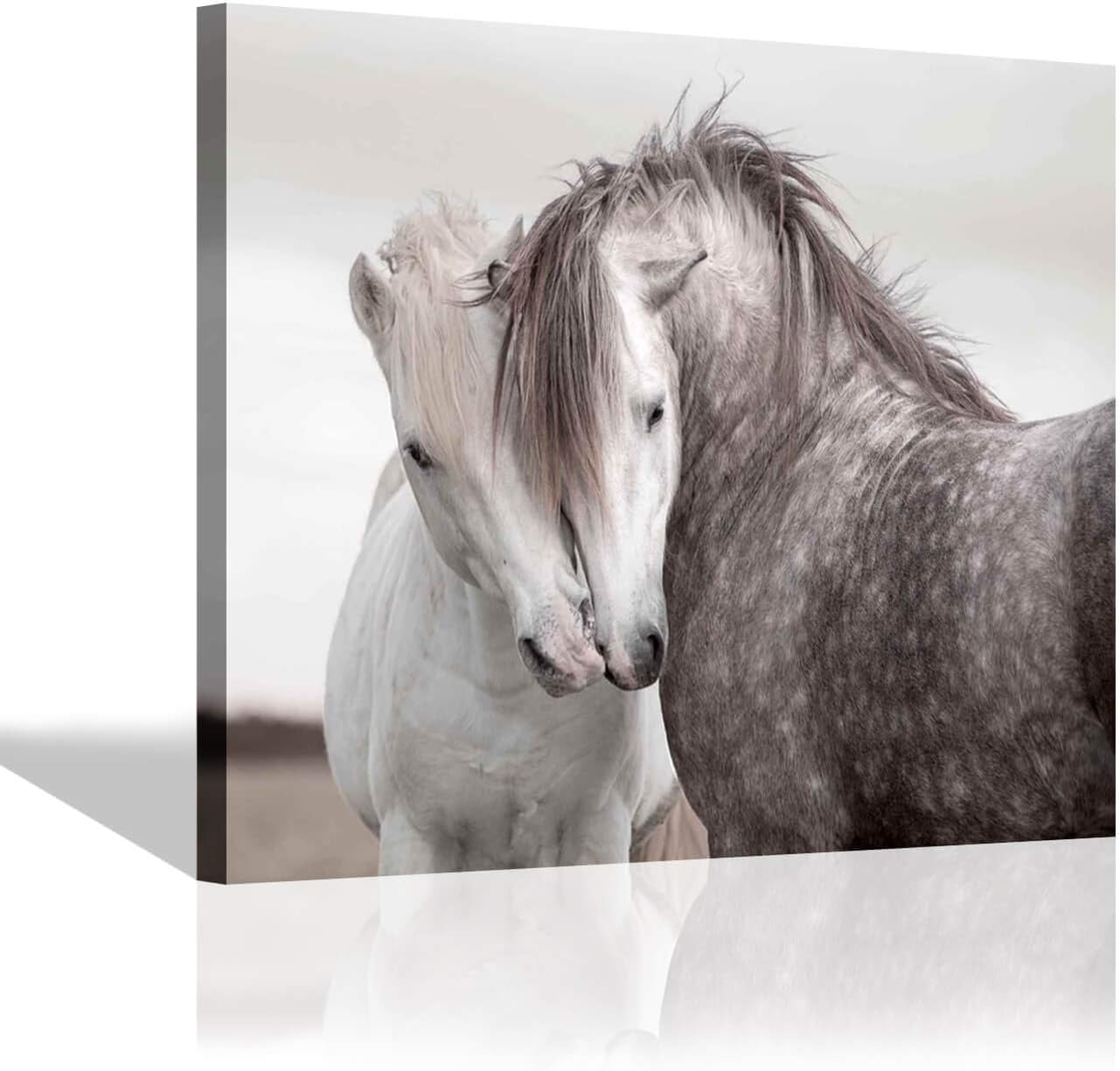 AXXPosters- Horses Picture Canvas Wall Art: White and Gray Horse ...