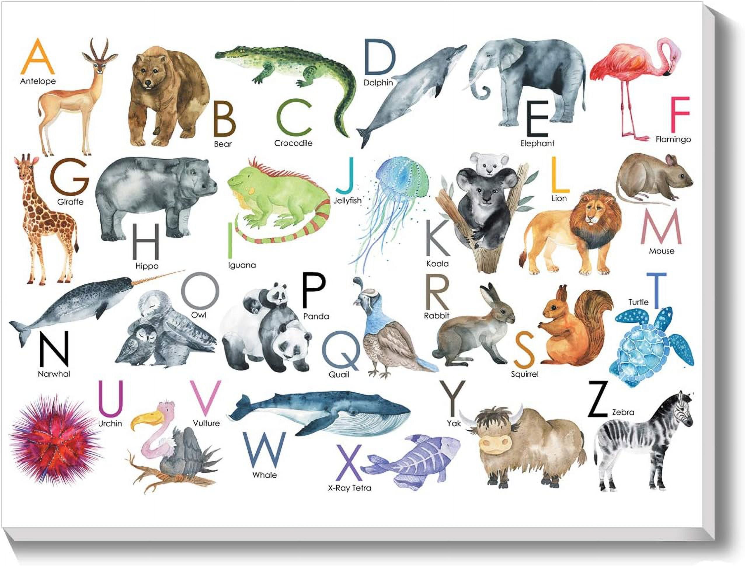 AXXPosters Kids Alphabet Letters with Pictures on Large Canvas Wall Art ...