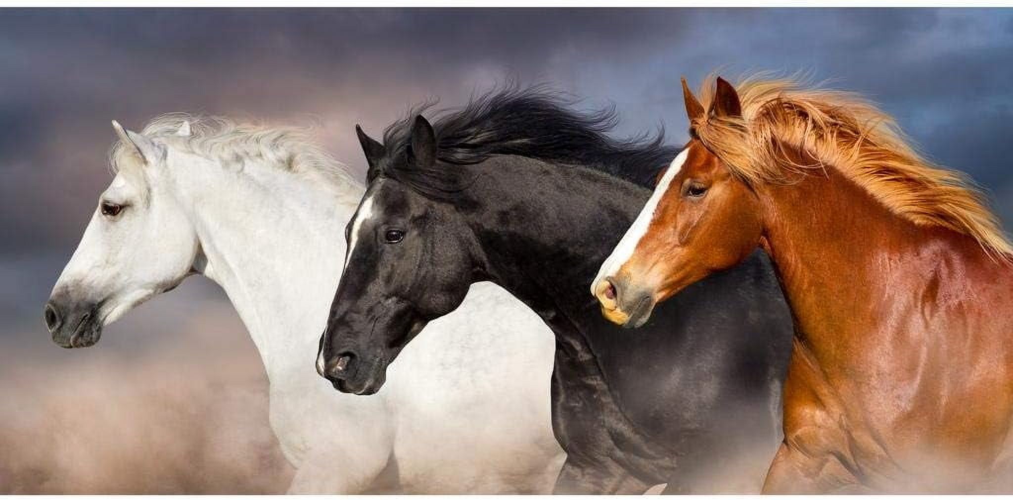 AXXPosters Laminated Horses Racing Portrait Stallion Mare Wild Horses ...