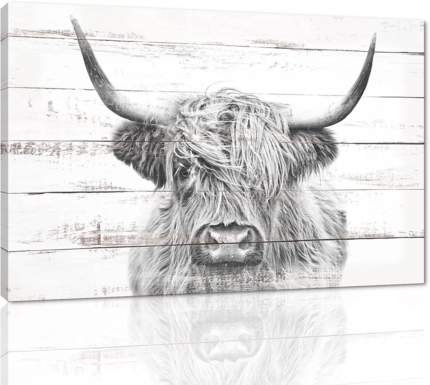 AXXPosters-Large Size Highland Cattle Decor Farmhouse Style Highland ...