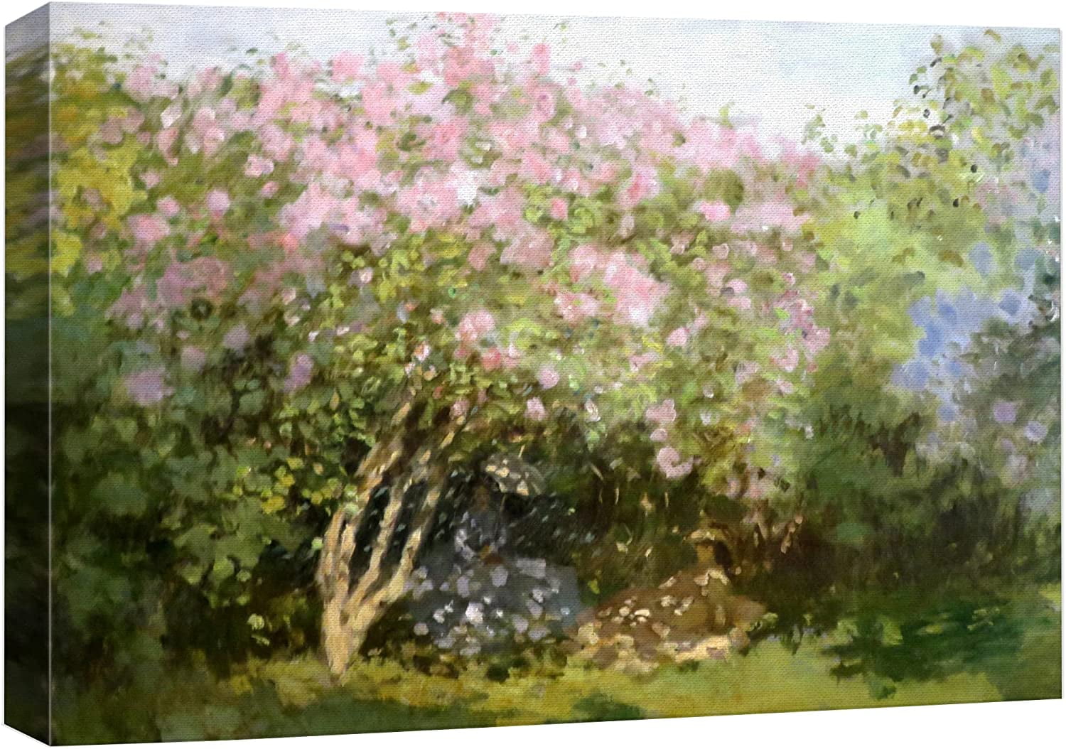 AXXPosters- - Lilacs in The Sun by Claude Monet - Canvas Print Wall Art ...
