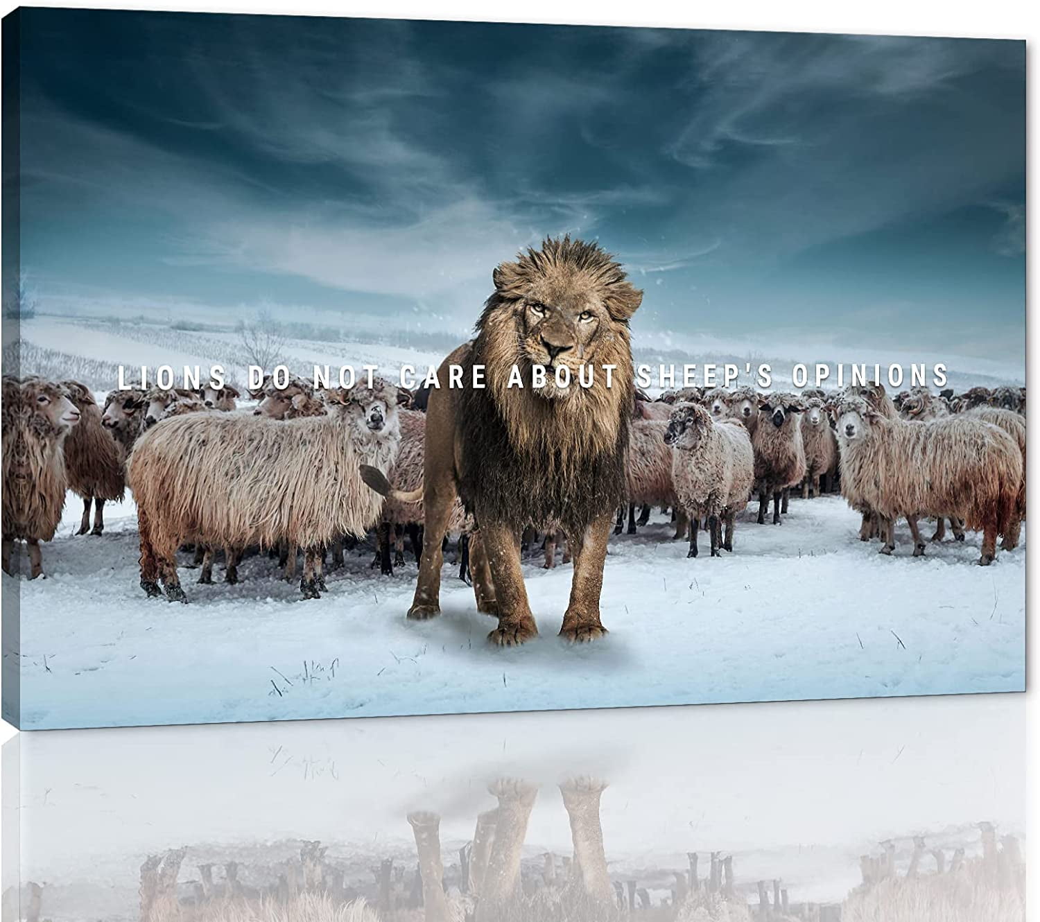 AXXPosters-Lion Do Not Care About Sheep's Opinions-Motivational ...