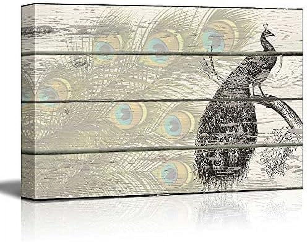 AXXPosters-- Lithographic Peacock with Feathers Artwork - Rustic Canvas ...