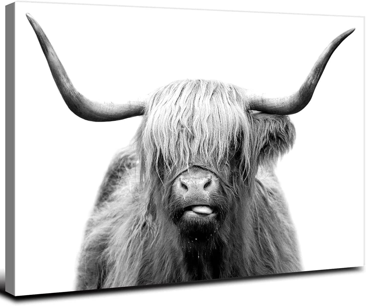 AXXPosters Longhorn Cow Wall Art Highland Cow Canvas Prints Western ...