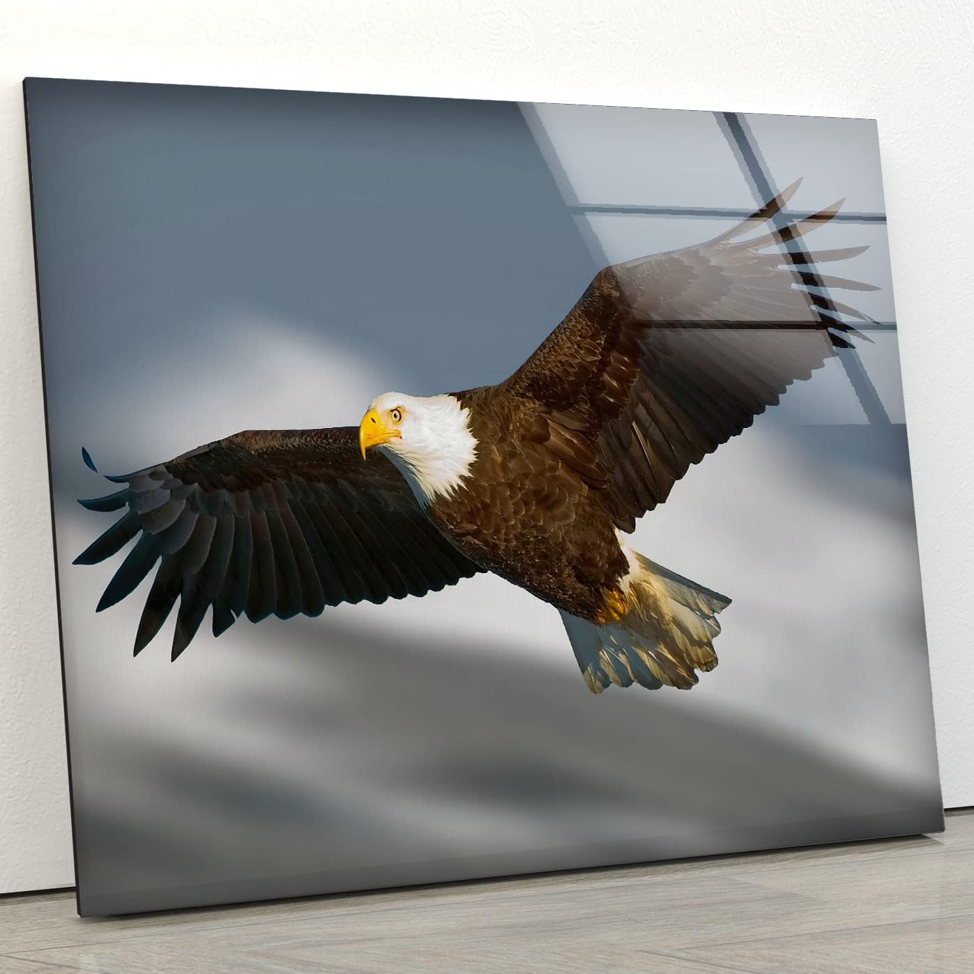 AXXPosters Myphotostation Eagle Wall Art Tempered Glass Wall Art ...