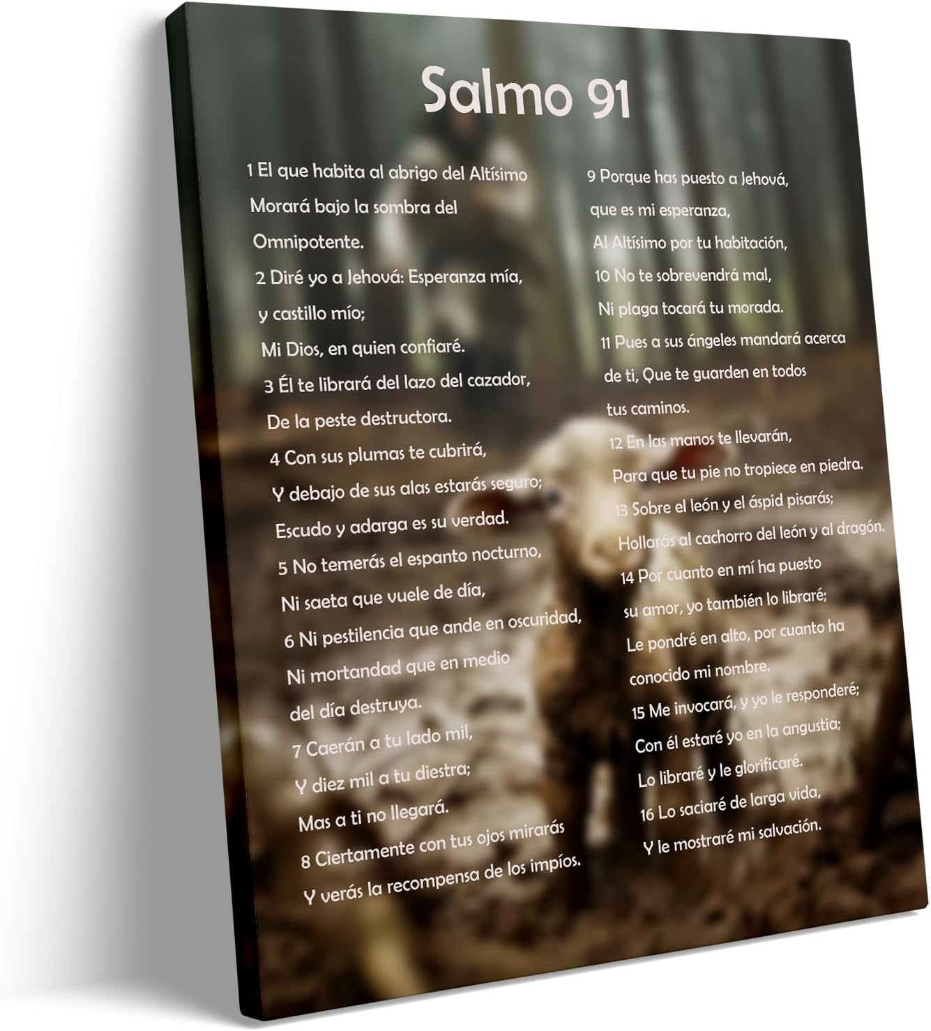 AXXPosters-Names Of God Framed Poster, Old Testament Meanings Canvas ...