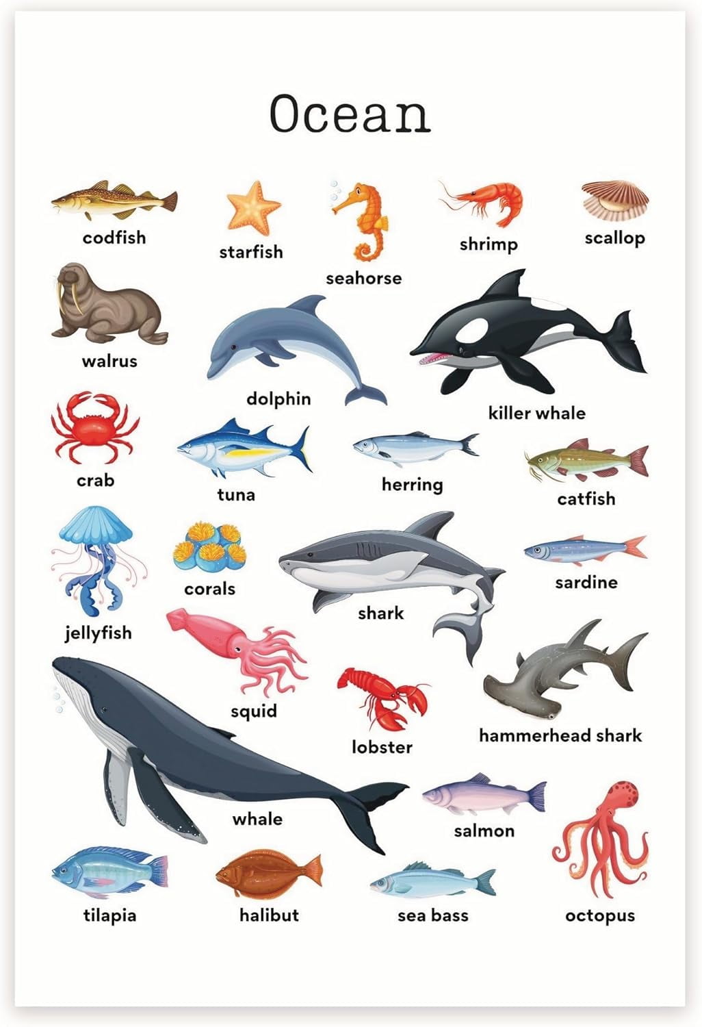 AXXPosters Ocean Animals Poster-Ocean Creatures Ocean Wildlife-Learning ...