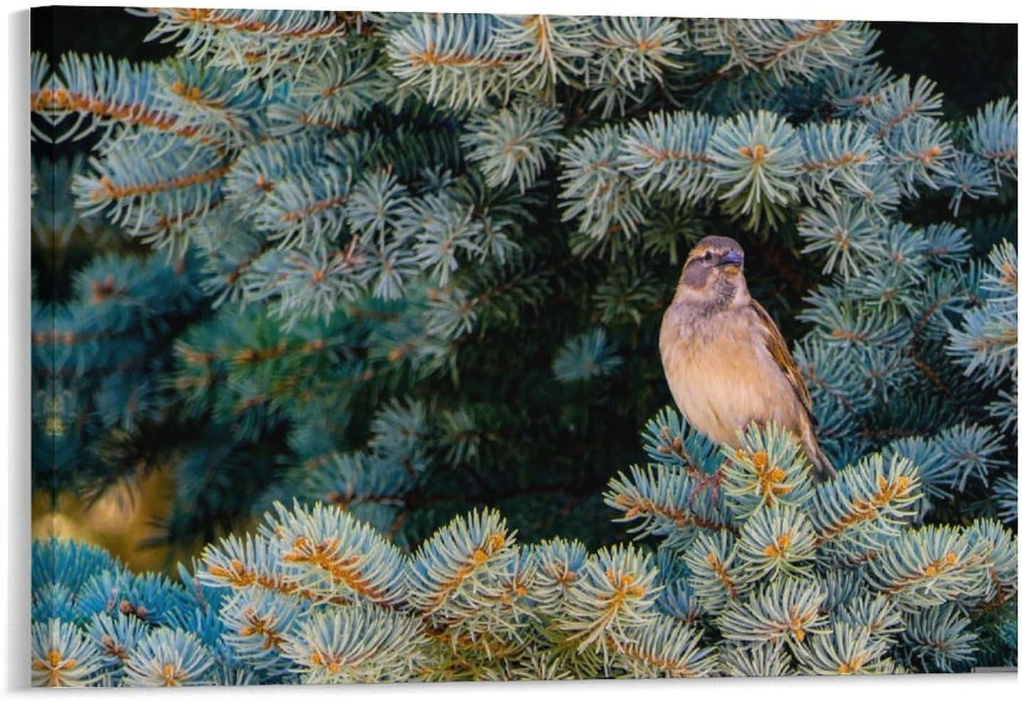 AXXPosters Sparrow Birds Animal Canvas Prints Unframed Painting Modern ...