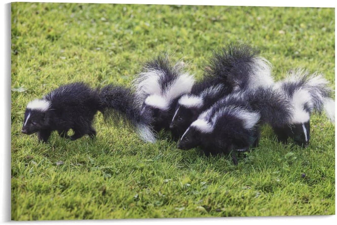 AXXPosters Striped Skunk Cute Baby Animal Room Aesthetics Posters ...