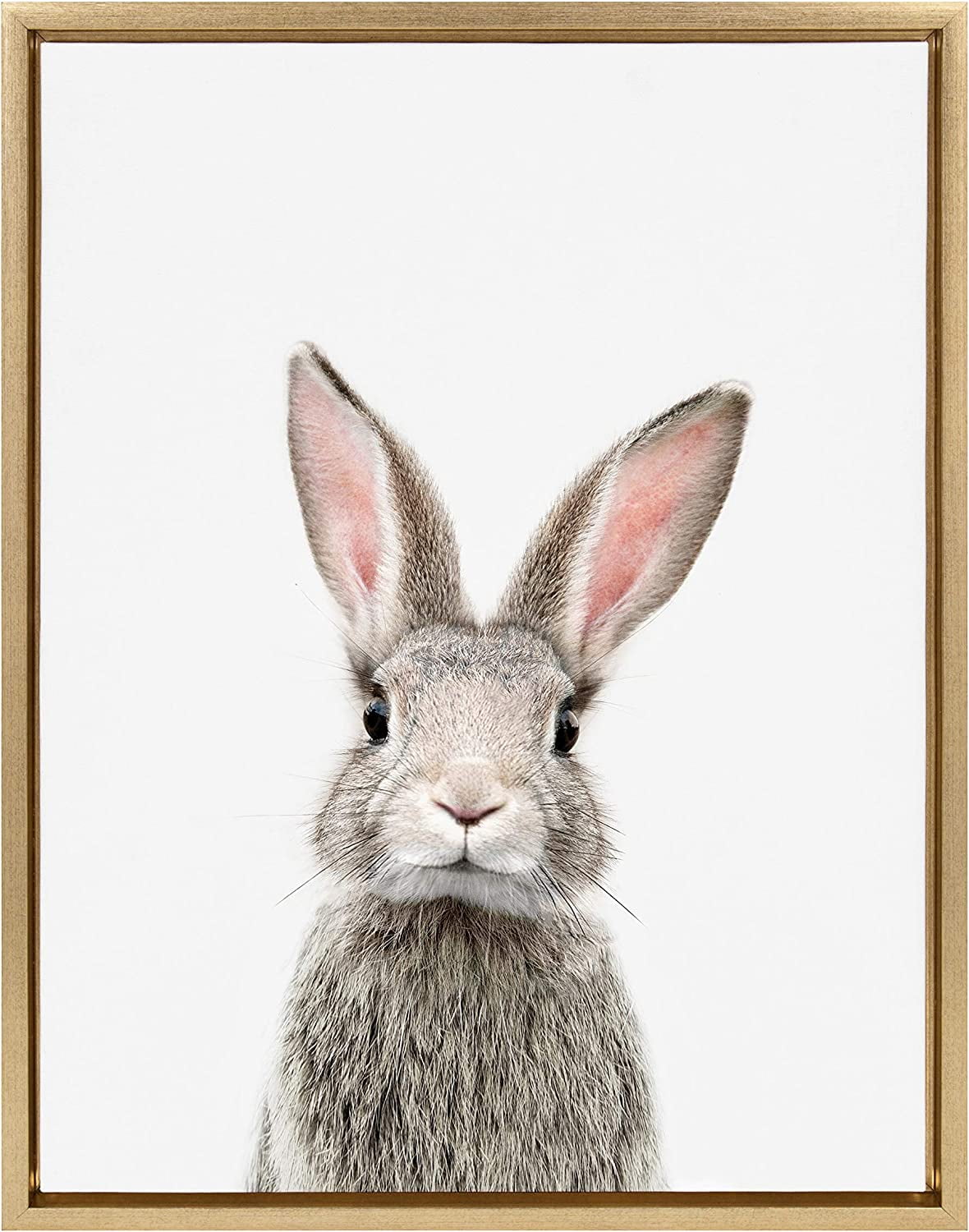 AXXPosters-Sylvie Female Rabbit Canvas Wall Art by Amy Peterson, 18x24 ...