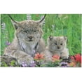 AXXPosters Wild Animal Lynx And Cute Lynx Baby Spring Forest Wall Art ...