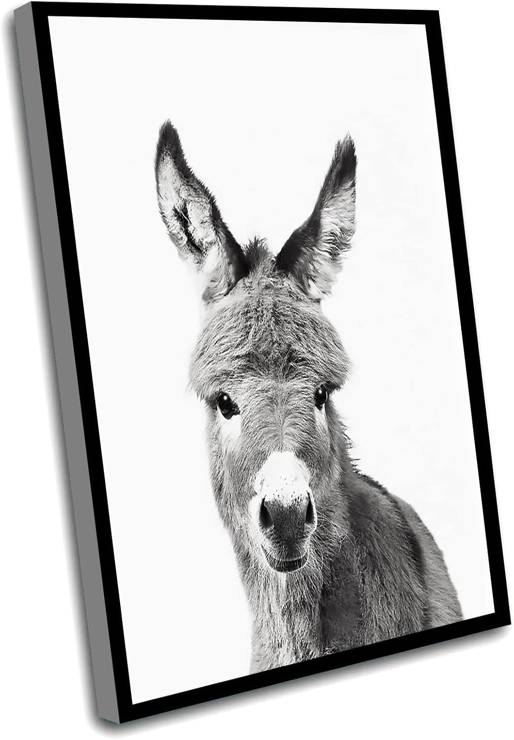 AXXPosters Woodland Nursery Decor,Baby Donkey Print,Black And White ...