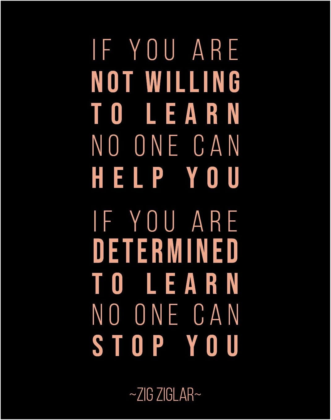 AXXPosters Zig Ziglar Determined to Learn Motivational Wall Art Poster ...