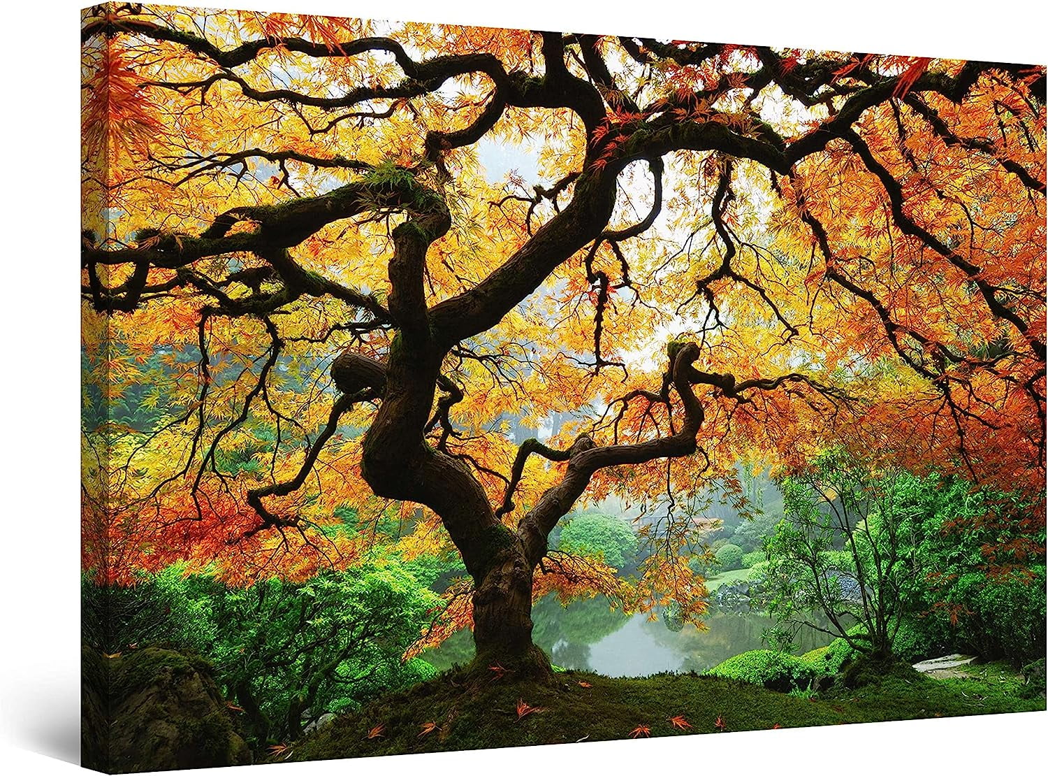 AXXPostersCanvas Wall Art - Maple Tree, Nature Framed 32 x 48 Inches ...