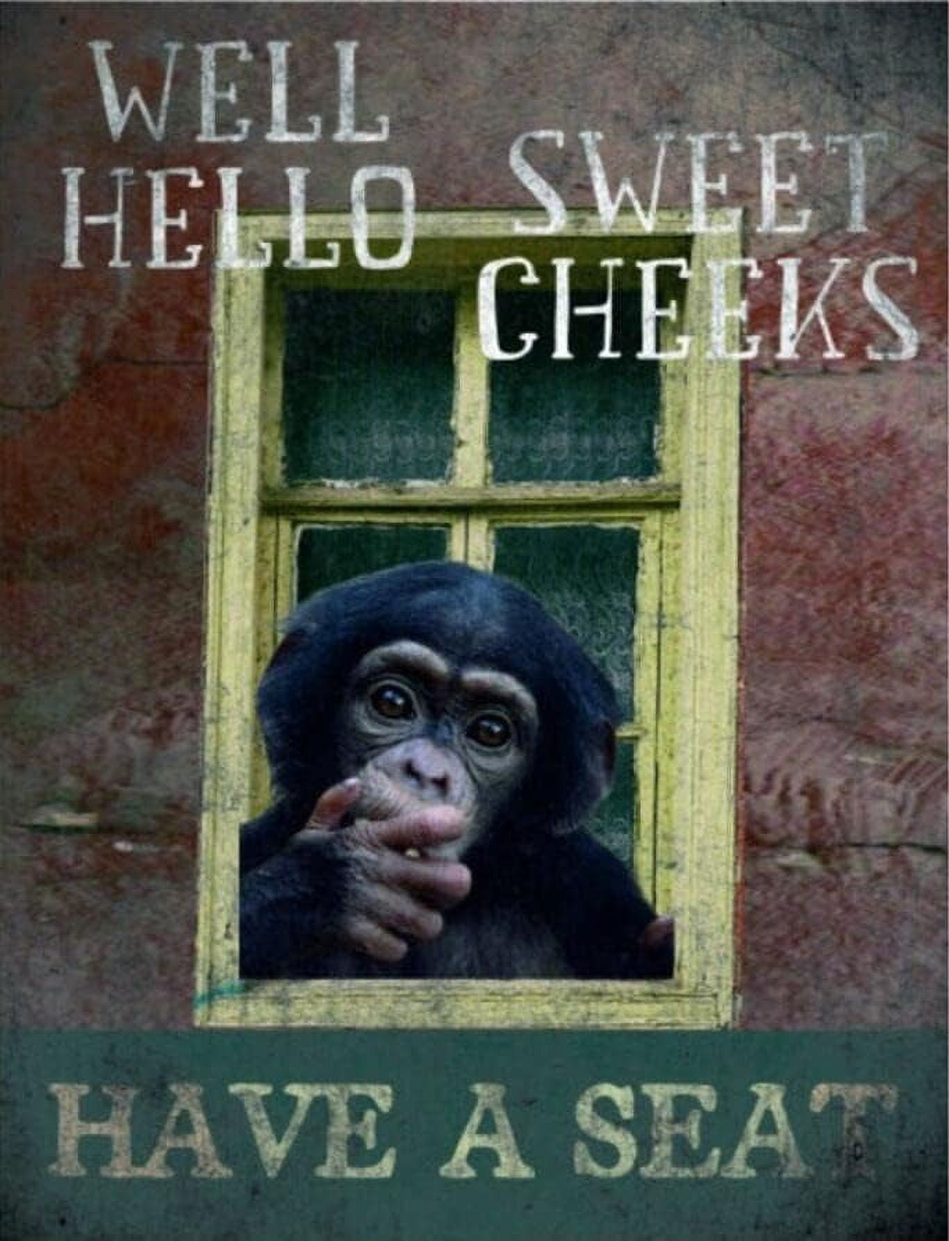 AXXTinsing Monkey chimp well hello sweet cheeks have a seat bathroom ...