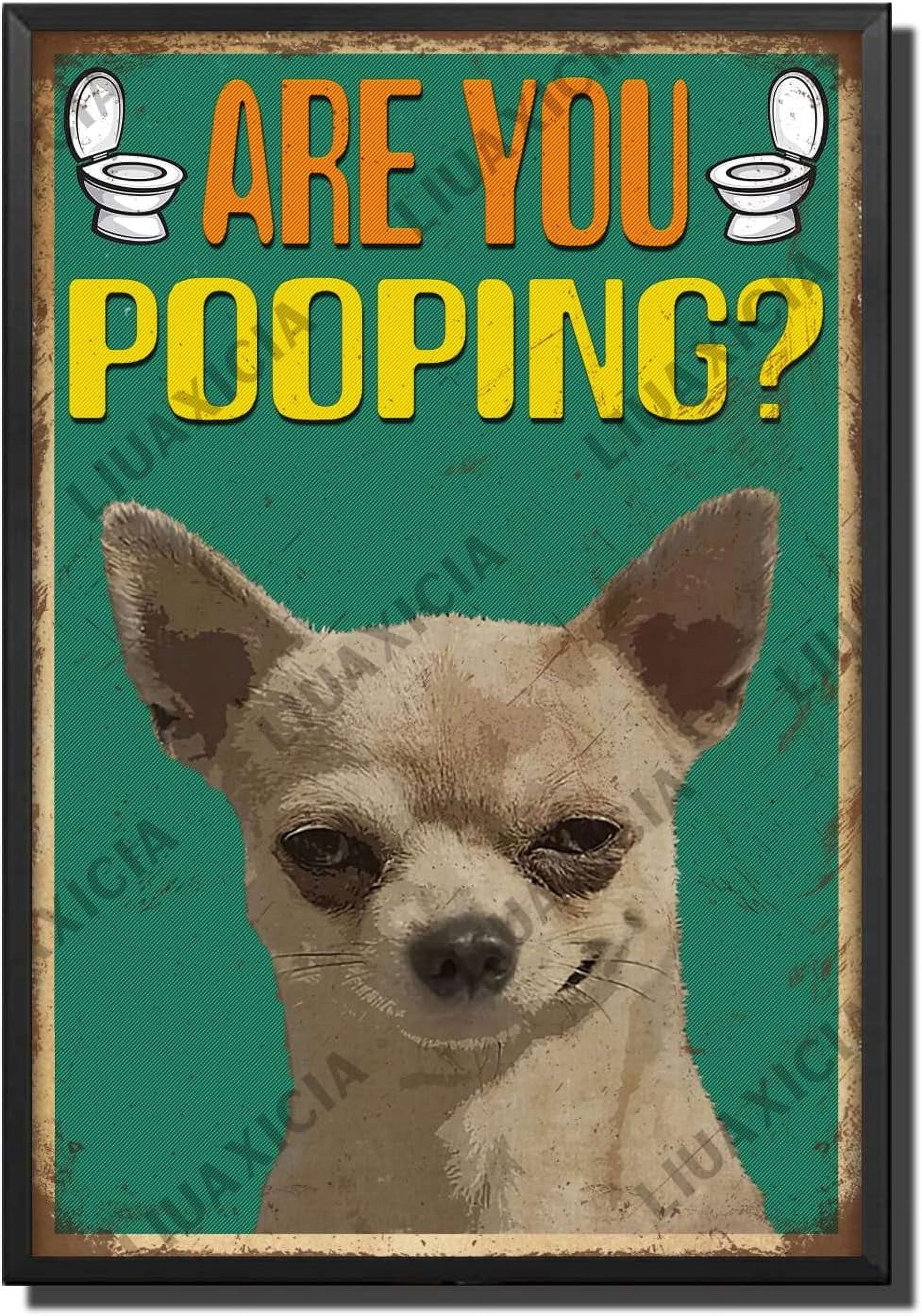 AXXTinsing Retro Decor Tin Sign are You Pooping Funny Dog Bathroom ...
