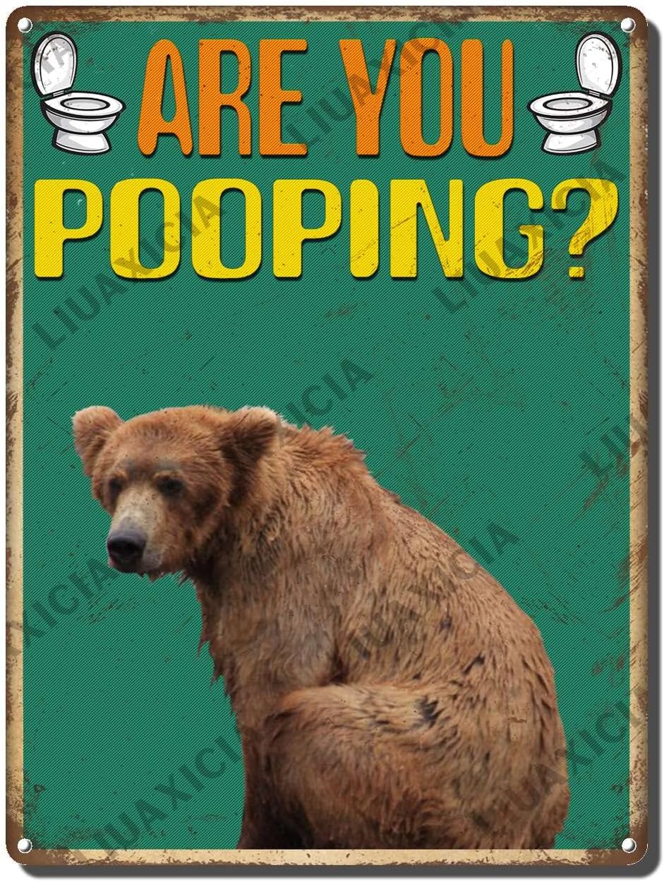 AXXTinsing Rustic Metal Decor Vintage Are You Pooping Funny Bear ...