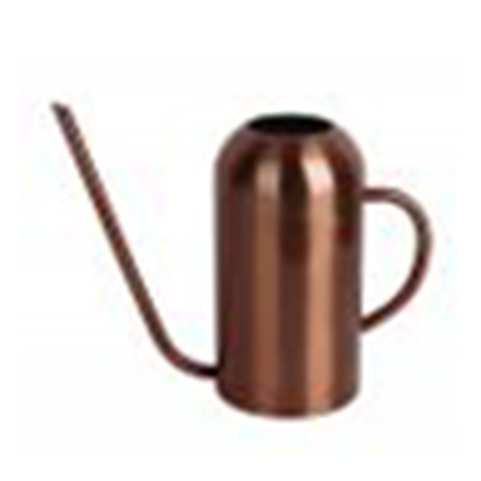 AYYUFE 1500ml Long Mouth Stainless Steel Watering Can Pot for Succulent ...