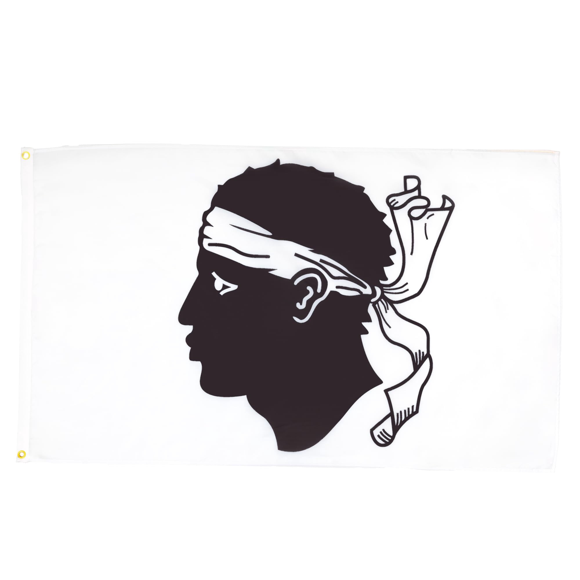 AZ FLAG Pack of 10 Corsica Flag 2 x 3 ft 100D Polyester 2 Grommets 90 x ...