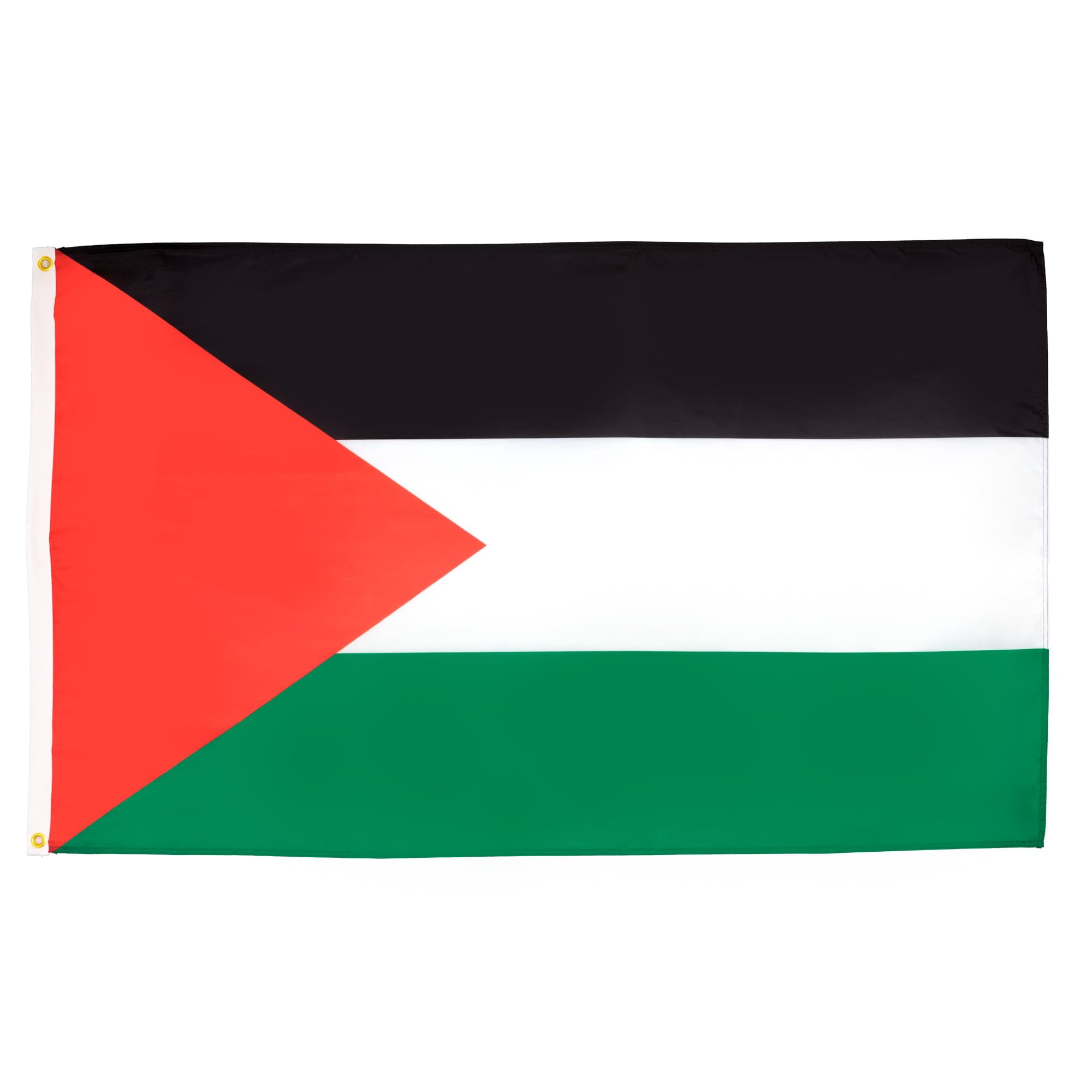 AZ FLAG Pack of 10 Palestine Flags 2x3 ft 100D Polyester 2 Grommets ...