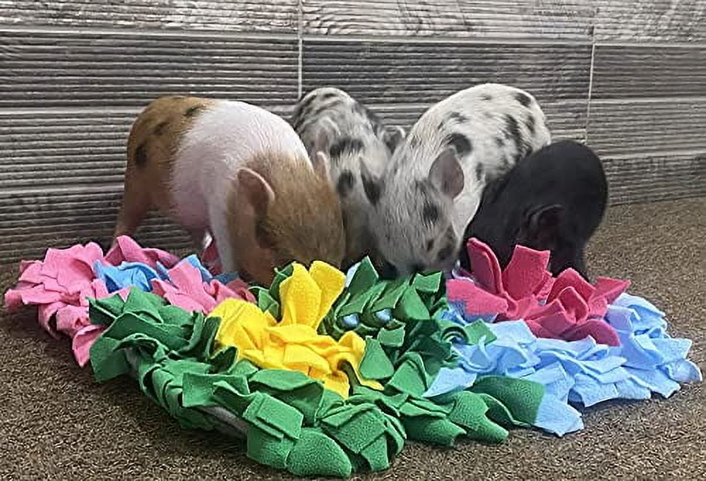 AZ Micro Mini Pigs Colorful Snuffle Pet Play Mat - Non Skid Backing ...