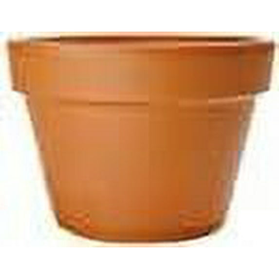 AZALEA POT 10IN - Walmart.com