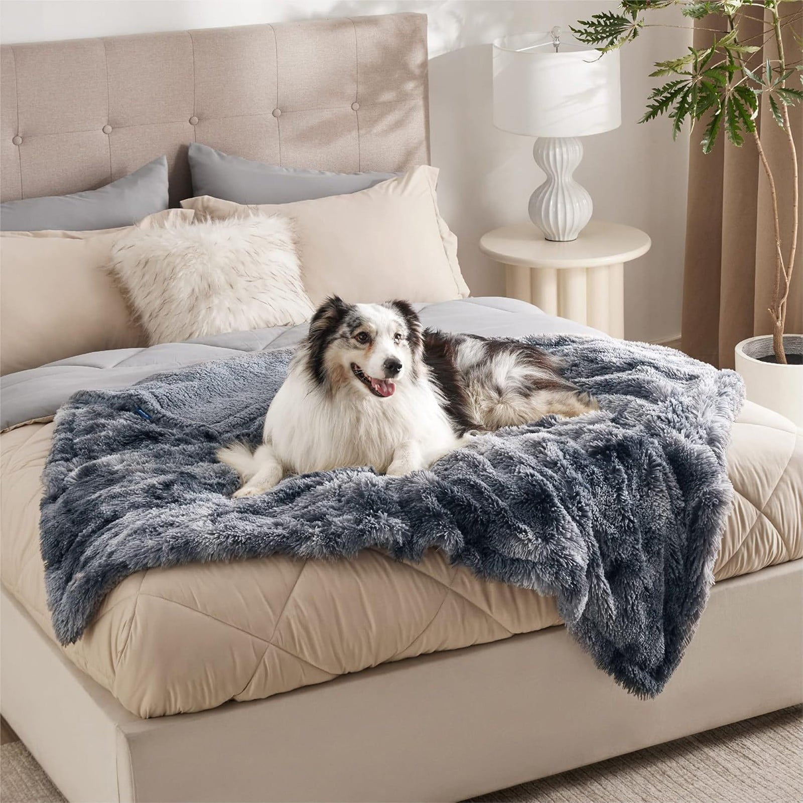 AZXY Orthopedic Dog Beds,Dog Beds for Large Dogs,Indestructible ...