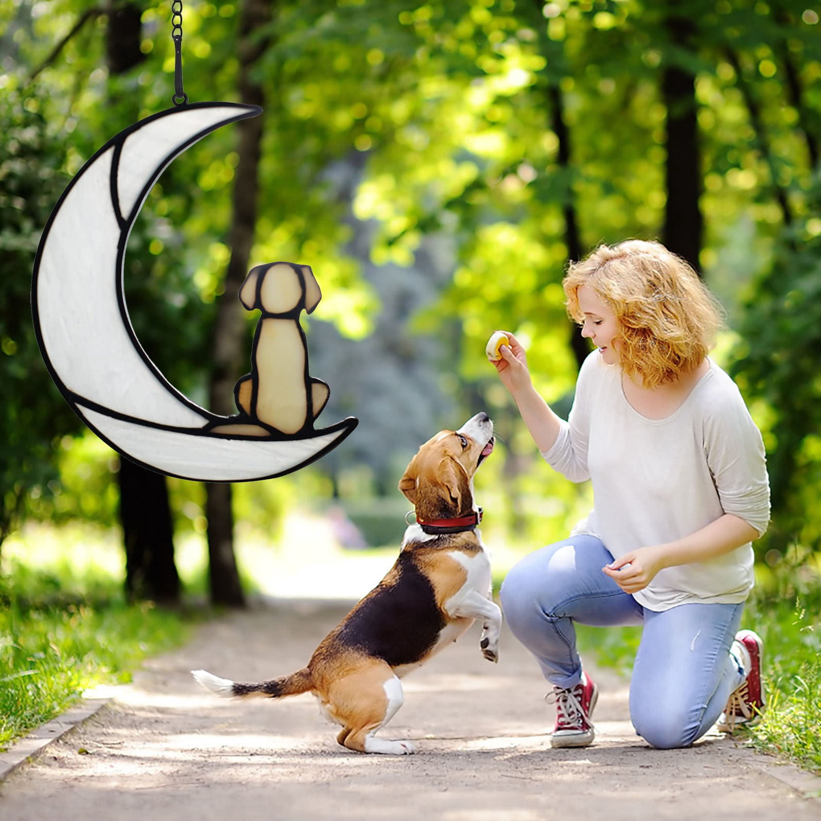 AaSFJEG Decor 2025 Graden Cute Dogs Commemorative Dogs on The Moon ...