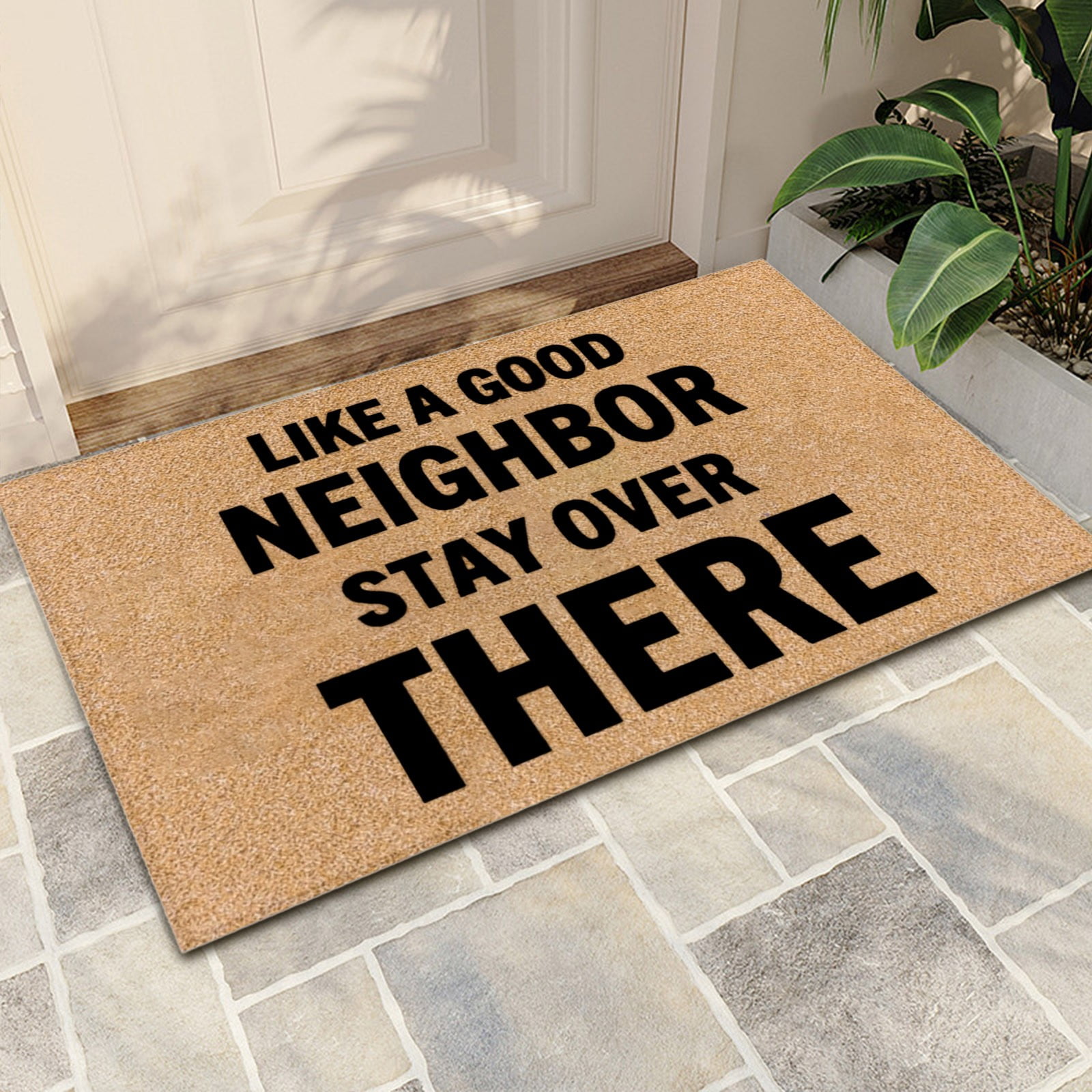 AaSFJEG Funny Door Mat Non Slip Back Rubber Entry Way Doormat Outside ...